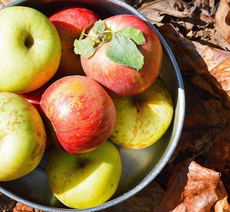 Let's Have Some Fun with Fall Fruit - Saving Dinner