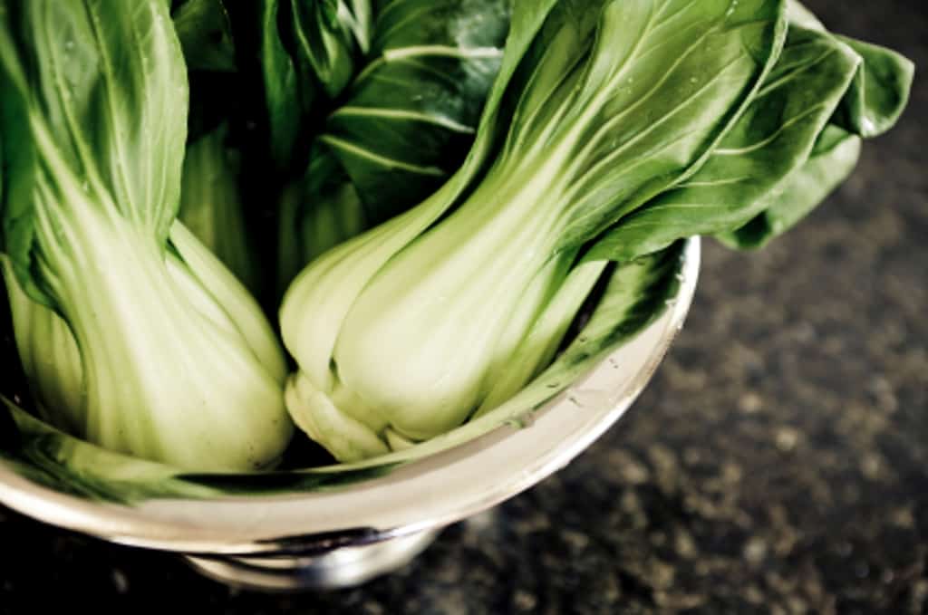 Jumping for joy...for Bok Choy - Saving Dinner