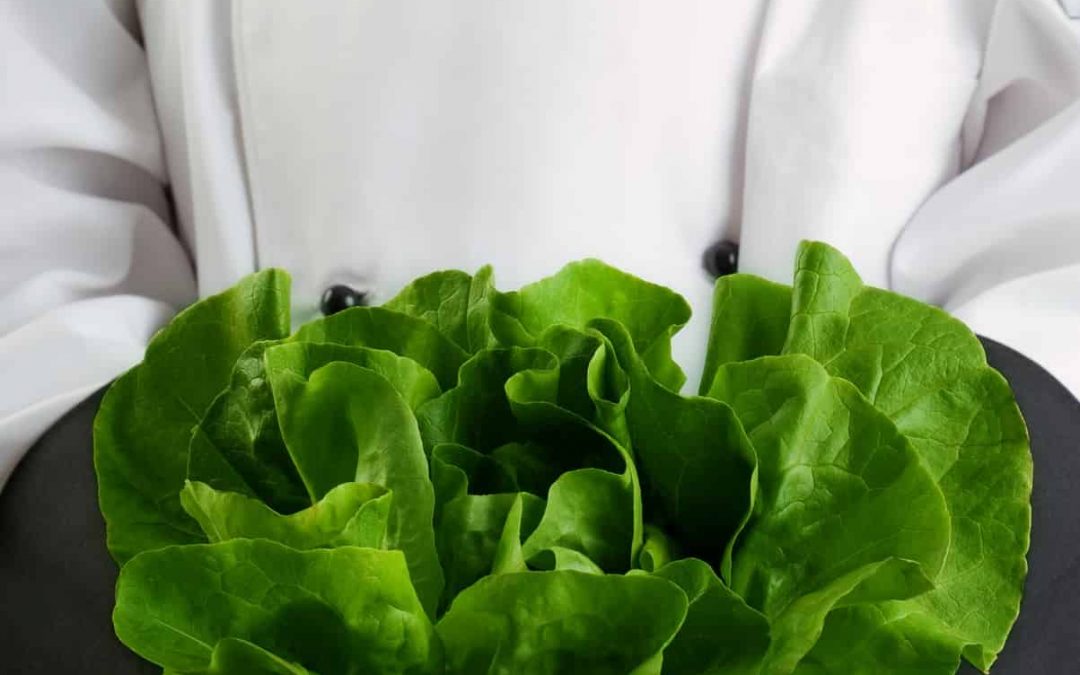 Butter lettuce for strong bones and teeth - Saving Dinner