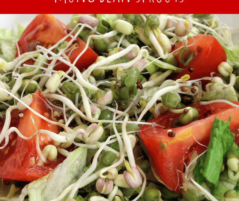 Shout out for mung bean sprouts - Saving Dinner