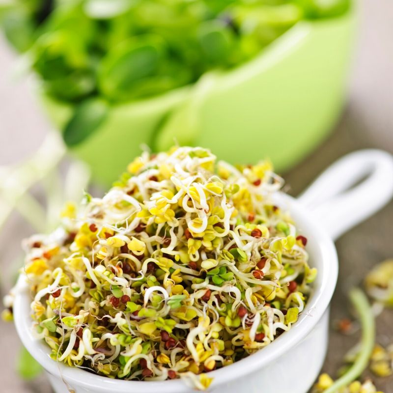 Sprouts! - Saving Dinner