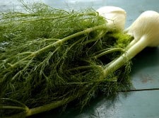 Tip, Trick & a Recipe: Add Fennel to Your Food Funnel! – Saving Dinner