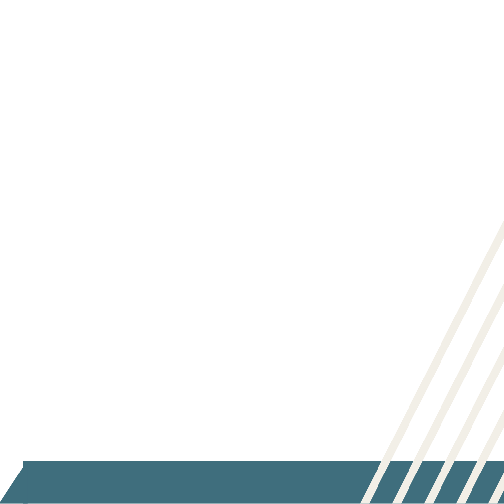 MEDIA KIT – Saving Dinner