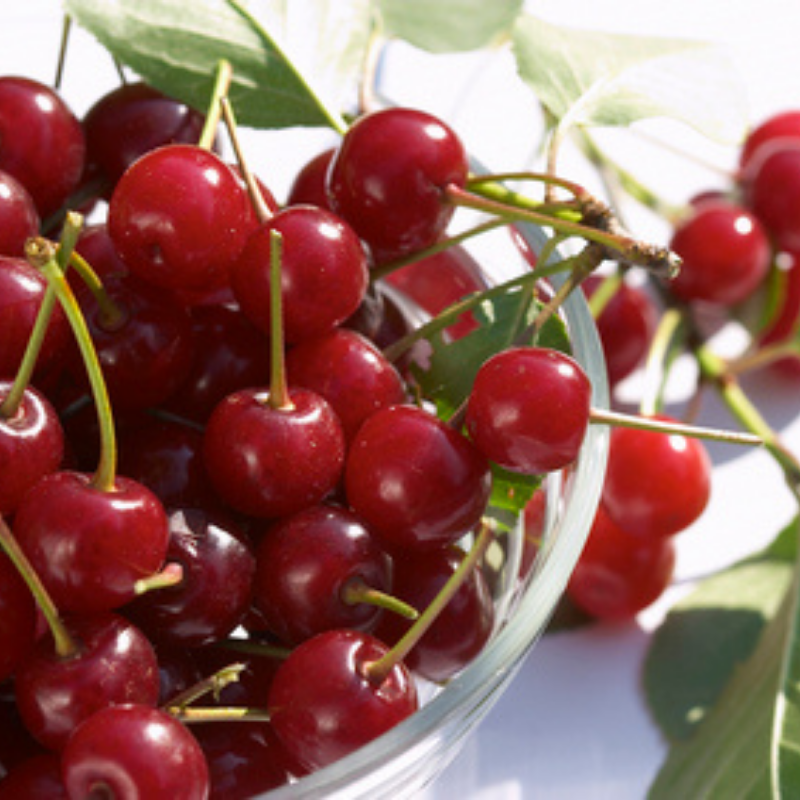 Tip, Trick & a Recipe: For a sweet juicy snack pick cherries! – Saving ...